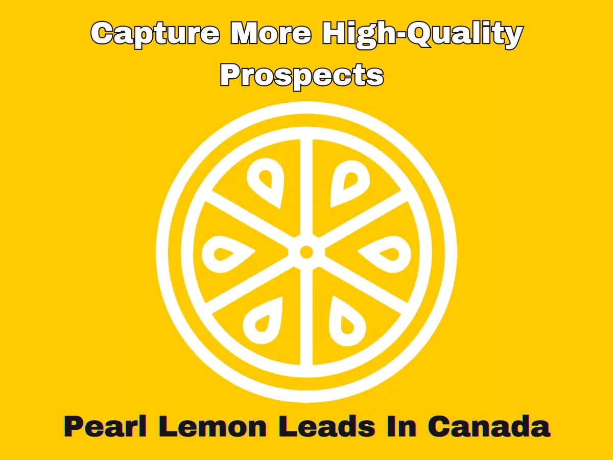 Expert B2B Lead Generation Agency for Companies in Canada